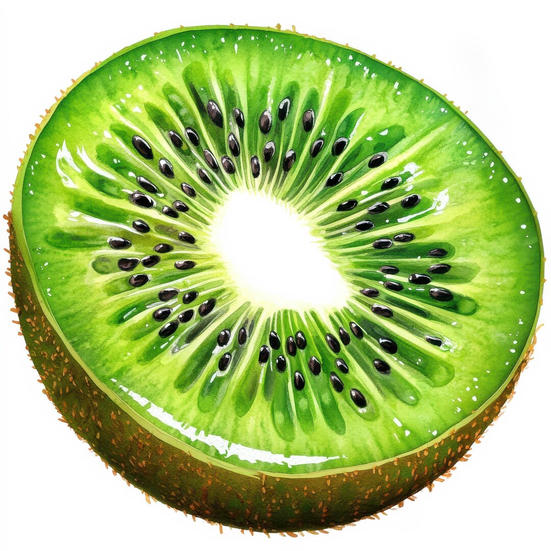 14 Fruit Clipart | Realistic Watercolor Fruit Illustrations for Kitchen ...