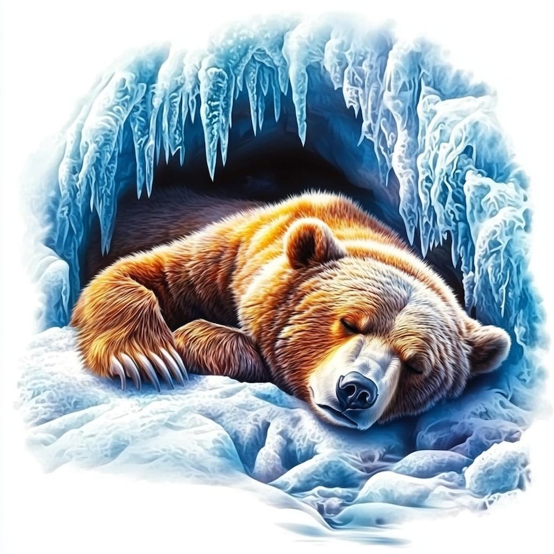 25 Hibernating Bear Digital Clipart | High-resolution | Cozy Nature ...