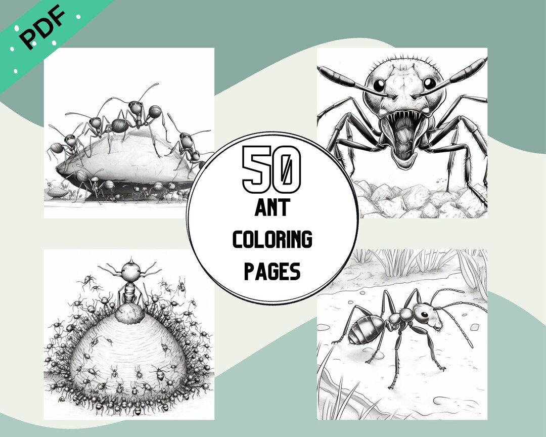 50 Ant Colorıng Pages | Printable PDF A4 | Cute Kids Coloring Pages for ...