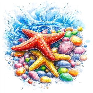 17 Colorful Starfish Clipart | Vibrant Ocean Starfish Illustrations for ...