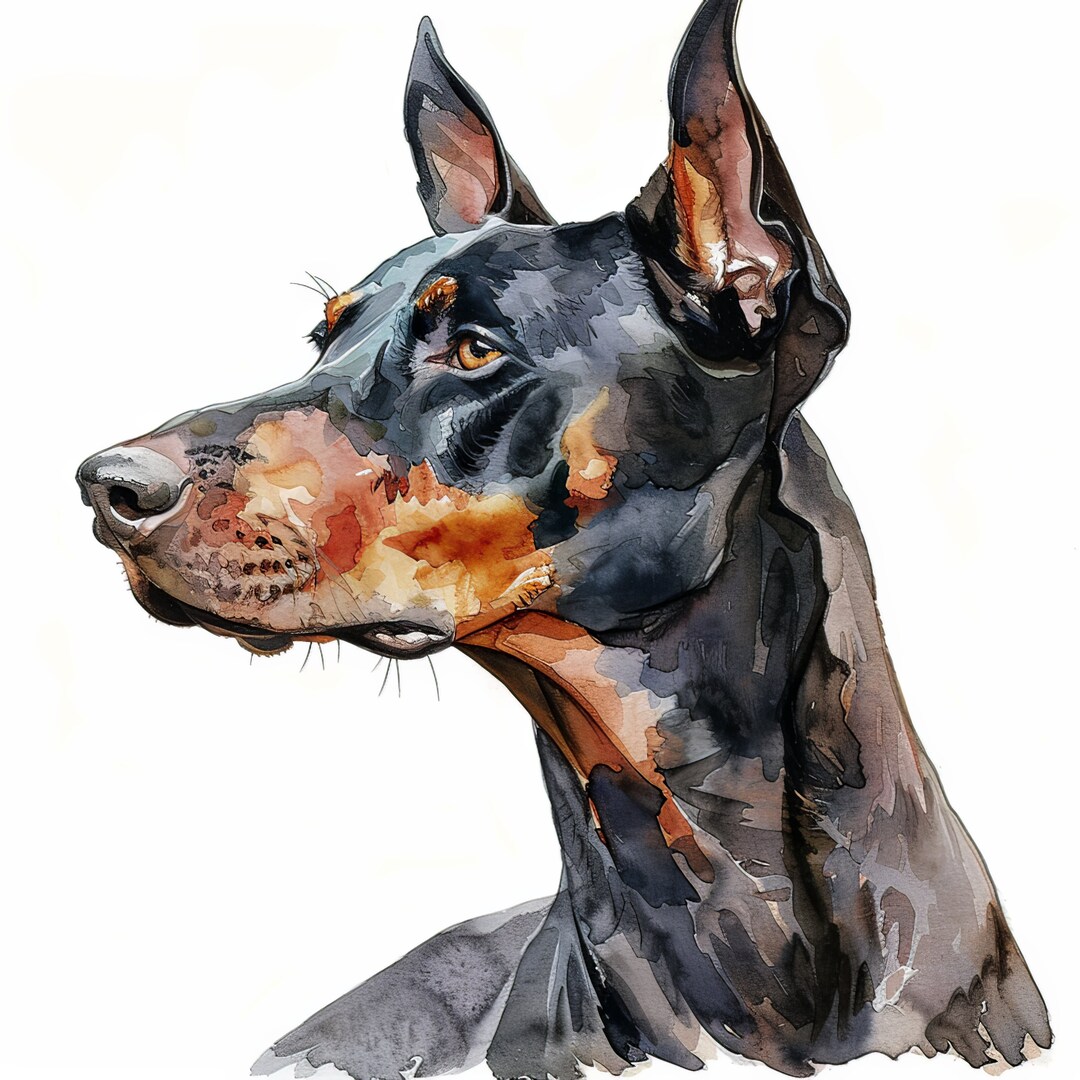 50 Watercolor Doberman Clipart PNG Bundle - - Personal and Commercial ...