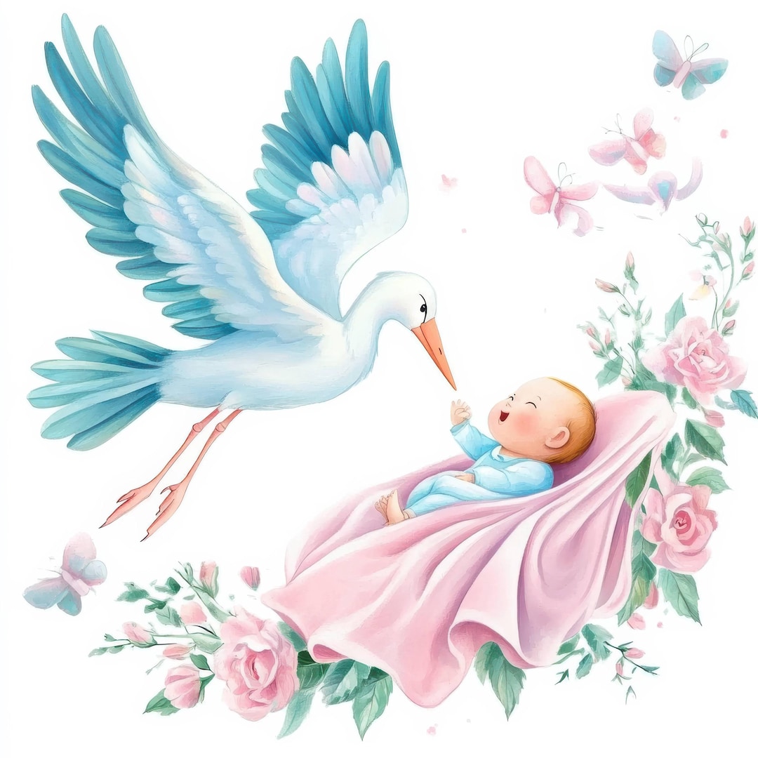 21 Stork Baby Girl Clipart | Charming Watercolor Stork Illustrations ...