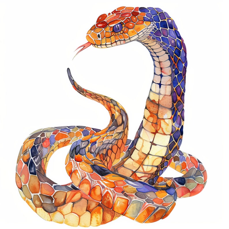 50 Watercolor Cobra, Snake Clipart PNG Bundle - - Personal and ...