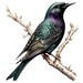 15 Starling Clipart | Stunning Starling Bird Illustrations for Journals ...