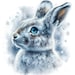 15 Arctic Hare Clipart – High Res Watercolor Jpgs | Winter Bunny ...