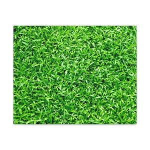 Wall Art Green Decor Grass Texture Wall Hanging Green Picture Nature ...