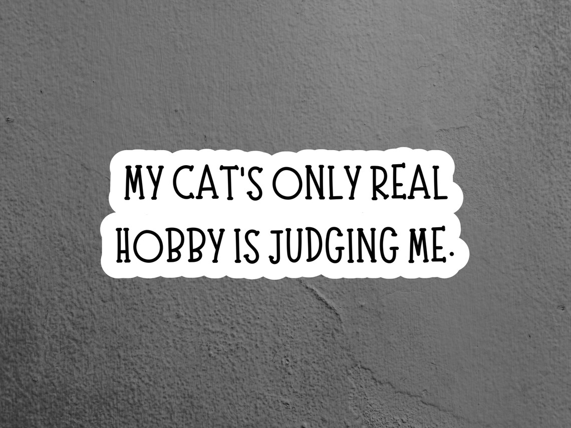 My Cat's Hobby is Judging Me Sticker, Pet Sticker, Funny Sticker ...