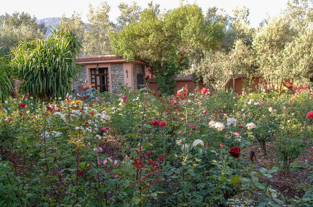 PRINTABLE Moroccan Flower Garden Landscape Green Travel - Etsy