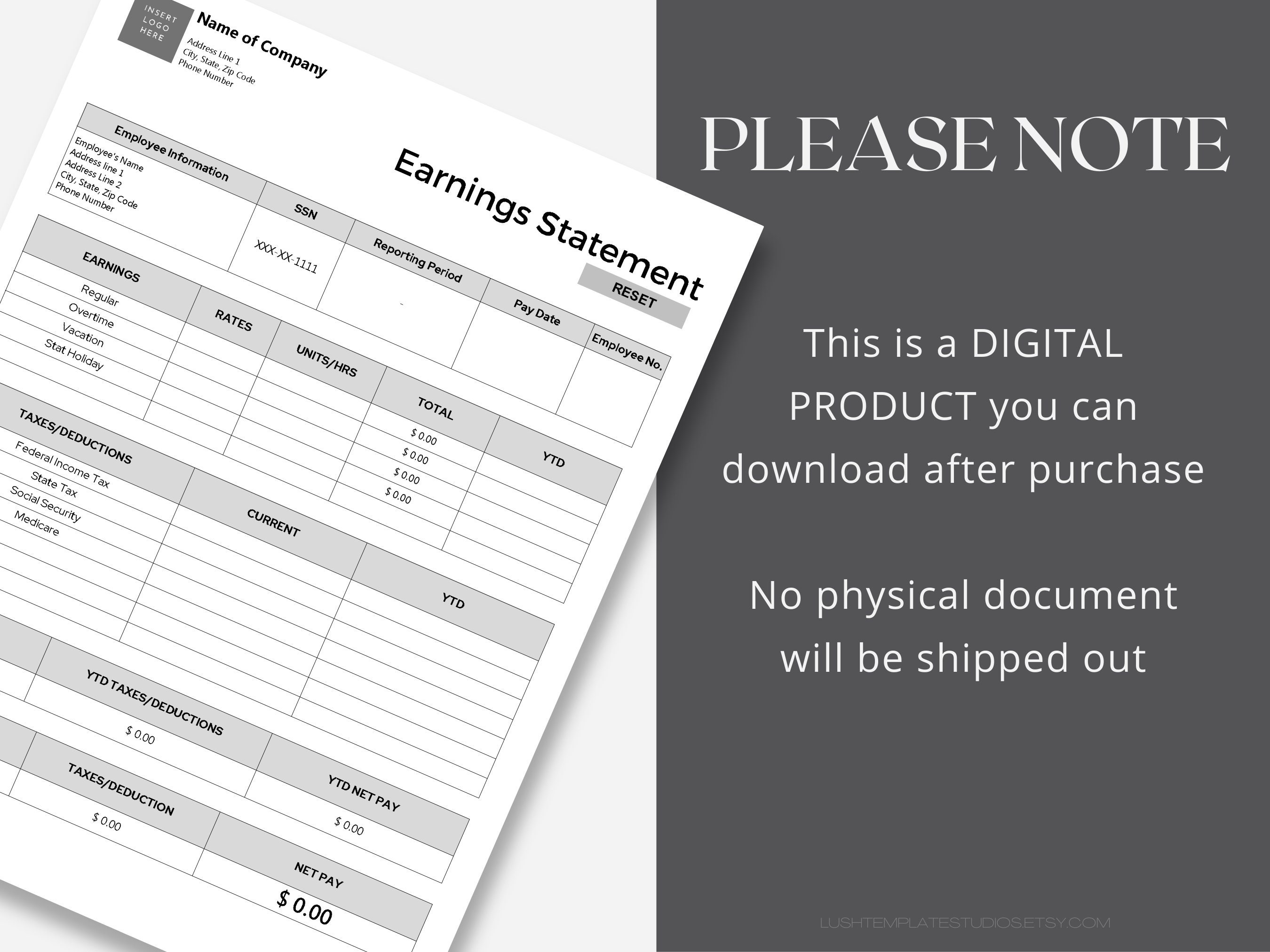 US Professional Earnings Statement Small Business Payroll Cheque ...