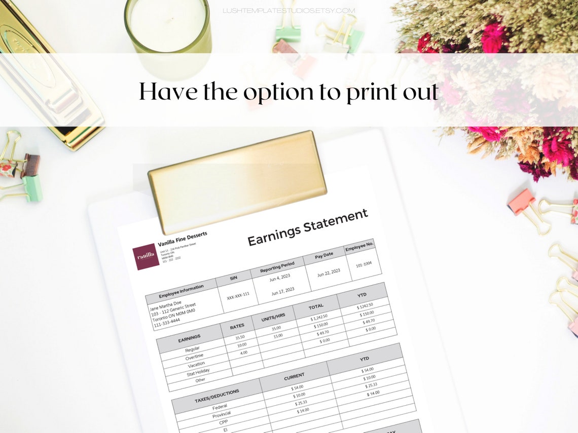 Professional Earnings Statement | Small Business Payroll Cheque ...
