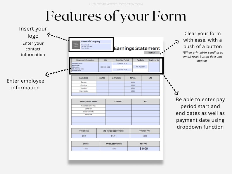 US Professional Earnings Statement | Small Business Payroll Cheque ...