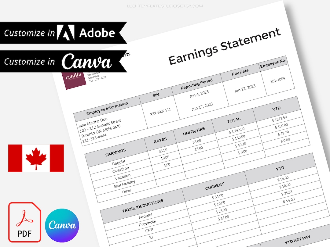 Professional Earnings Statement | Small Business Payroll Cheque ...