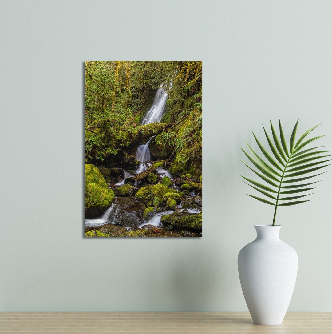 Merriman Falls, Olympic National Forest, Washington. Waterfall ...