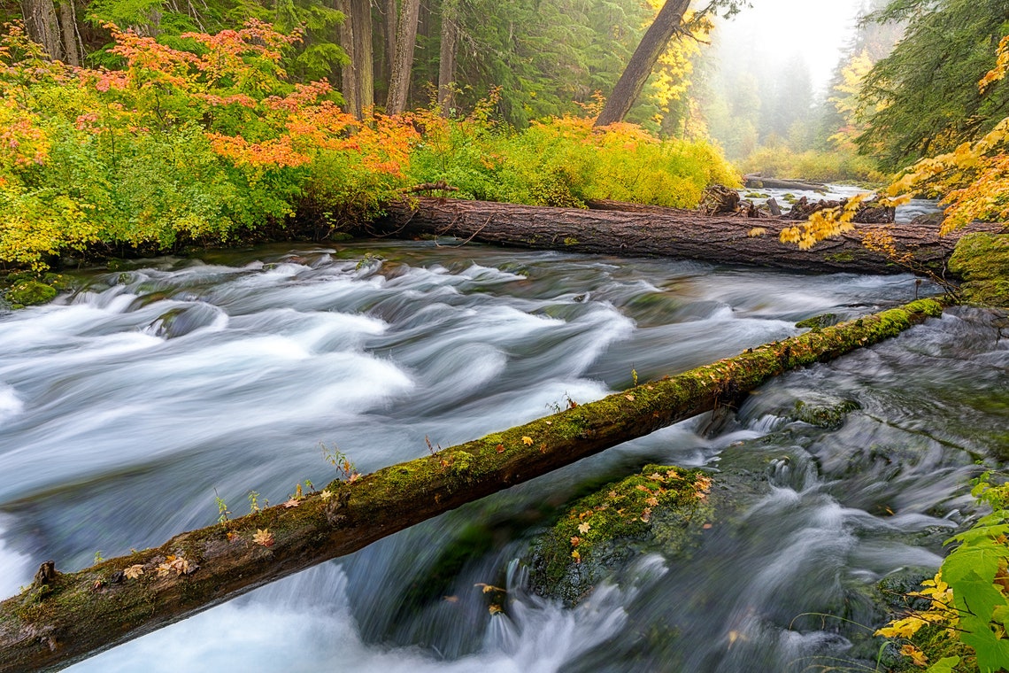 Mckenzie Fall, Autumn on the Mckenzie River, Oregon. Landscape ...