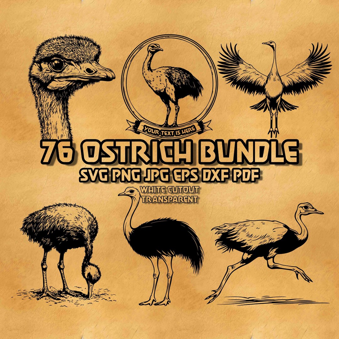 Ostrich SVG Bundle, Ostrich Monogram Png, Farm & Zoo Theme Designs ...