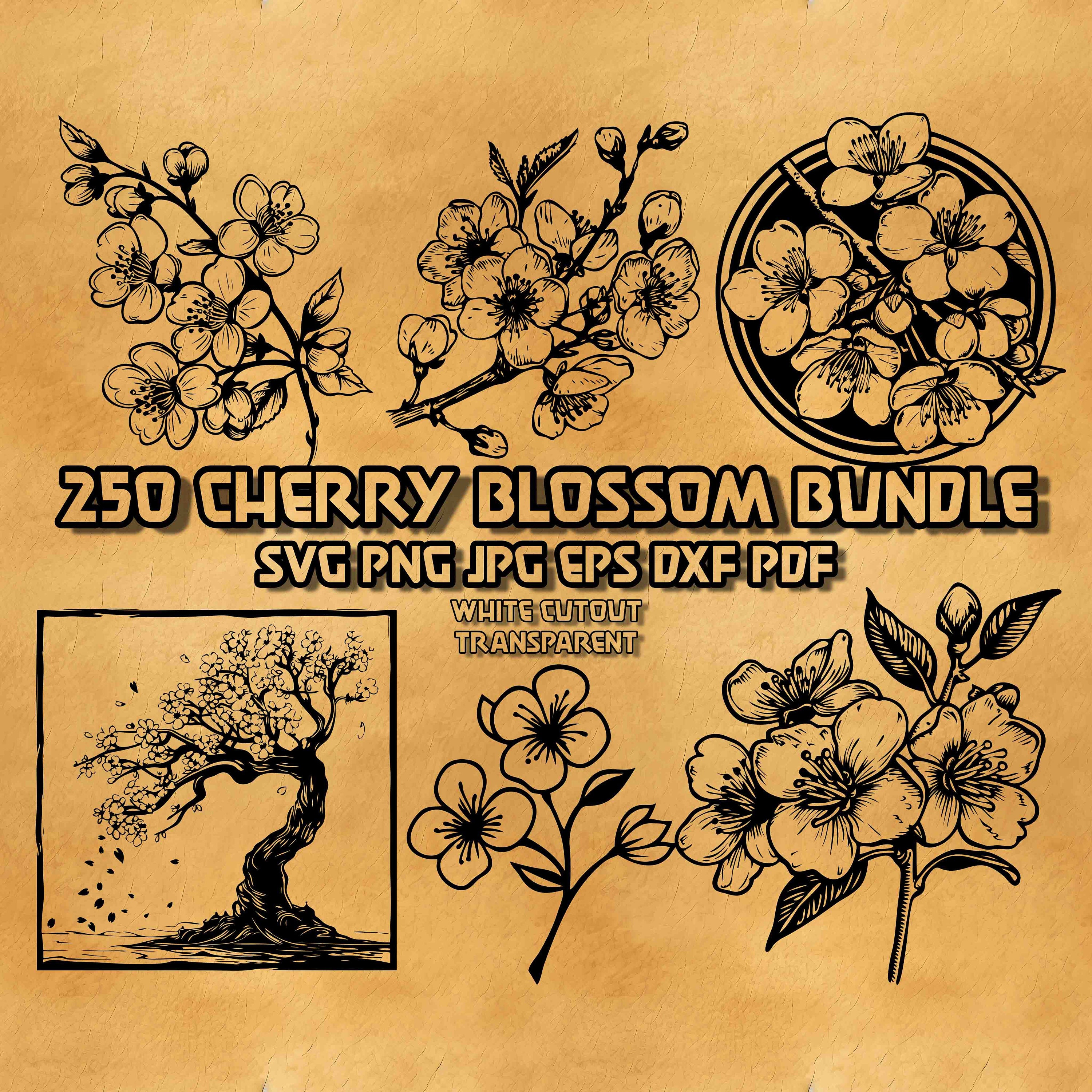 Cherry Blossom Svg Bundle, Japanese Sakura Svg, Cherry Tree Blossom Svg ...