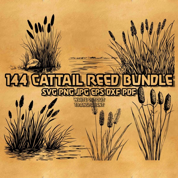 Marsh Grass Drawing - Etsy