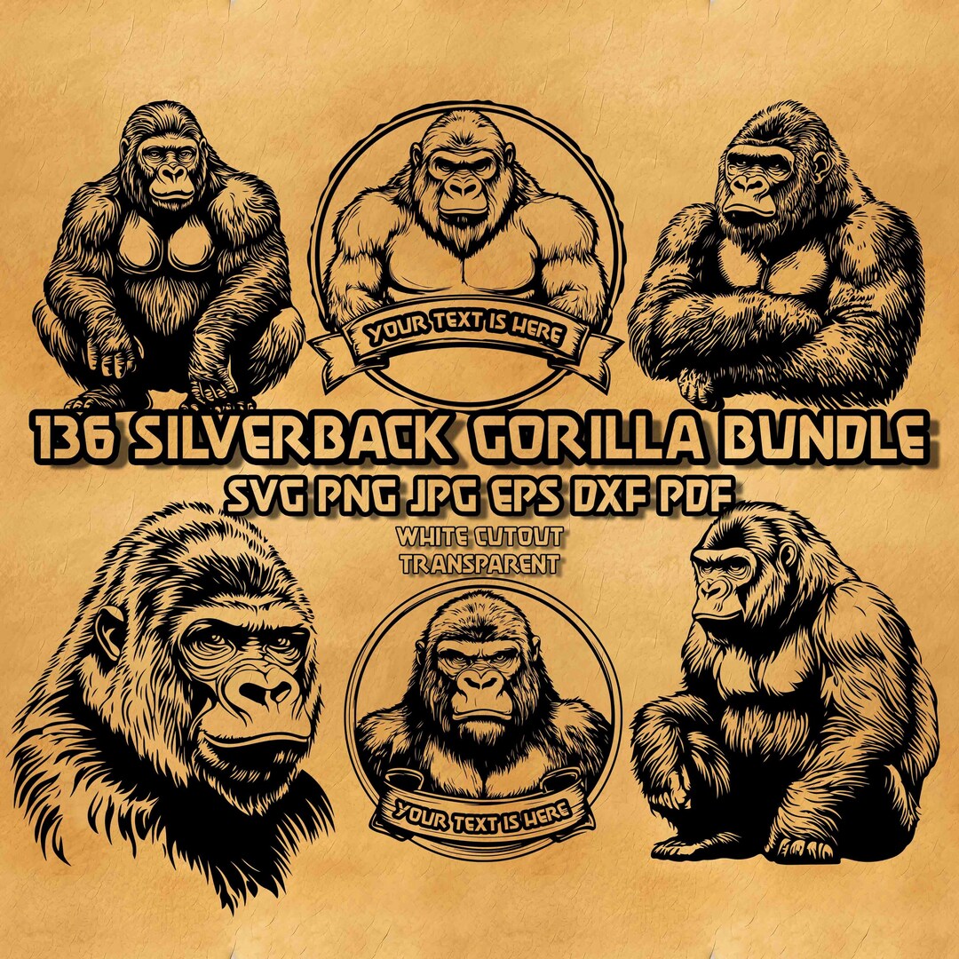 Silverback Gorilla SVG Bundle, Powerful Primate Designs for Wildlife ...