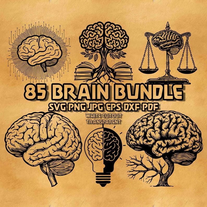Brain Svg Bundle, Brain Designs Bundle, Digital Brain Png, Brain Tree Svg, Floral Brain Svg ...
