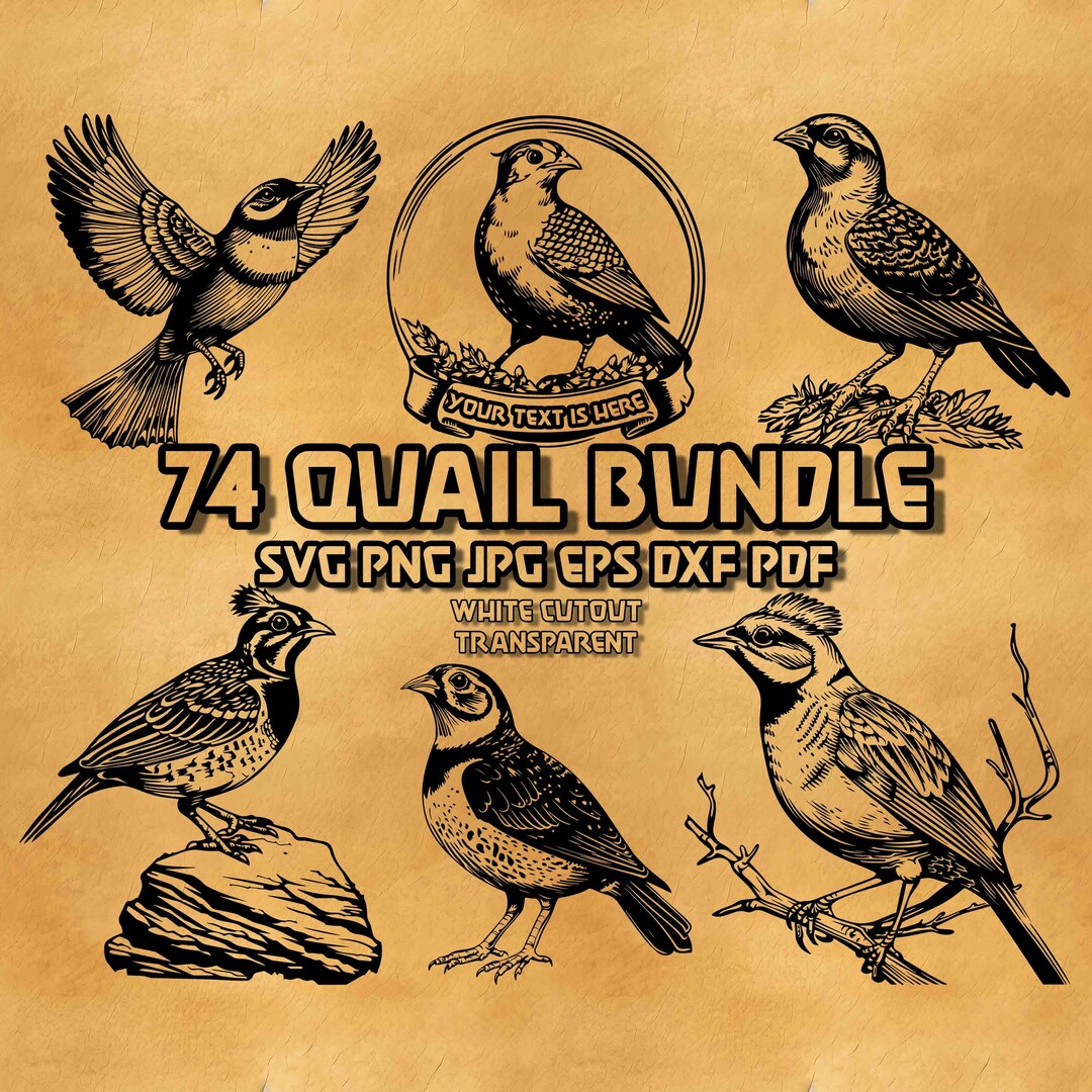 Quail Svg Bundle, Quail Monogram Svg , Quail on Stone Svg, Floral Quail ...