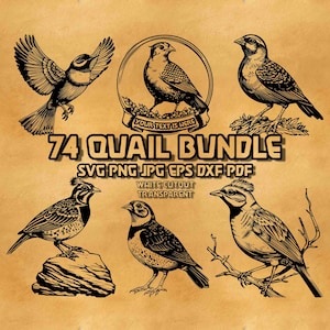 Quail Svg Bundle, Quail Monogram Svg , Quail on Stone Svg, Floral Quail ...