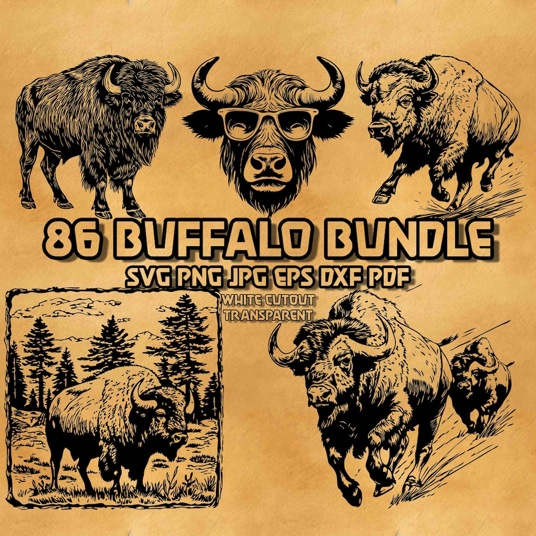 Buffalo Svg Bundle, Floral Buffalo Svg, Buffalo Run Svg, Buffalo ...