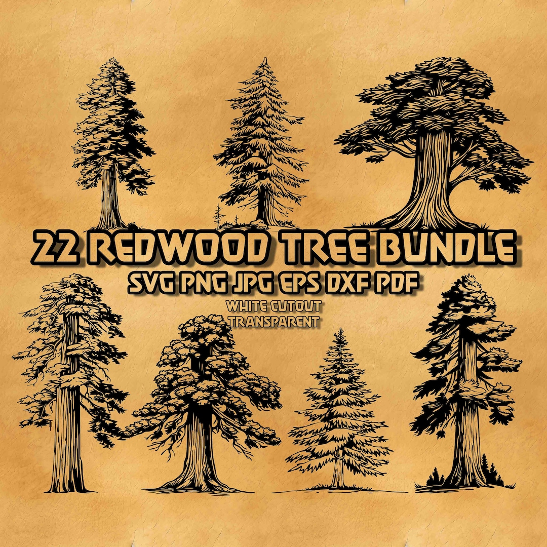 Redwood Tree Svg Bundle, Trees Clipart, Redwood Tree Laser Engraving ...
