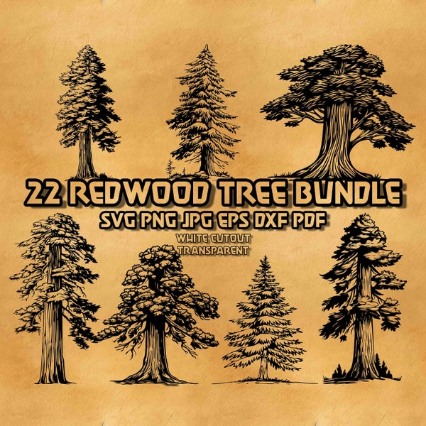 Redwood Tree Art - Etsy