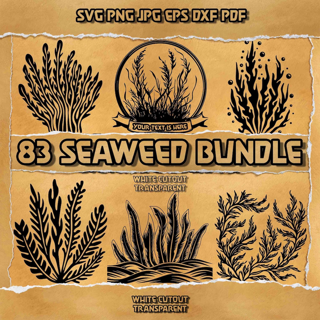 83 Seaweed SVG Bundle – Coral & Ocean Plant Engraving Clipart Set - Etsy