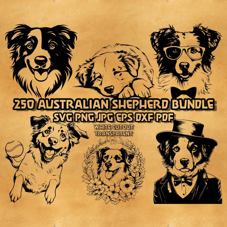 Australian Shepherd Svg Bundle, Aussie Dog Peeking Svg, Floral ...