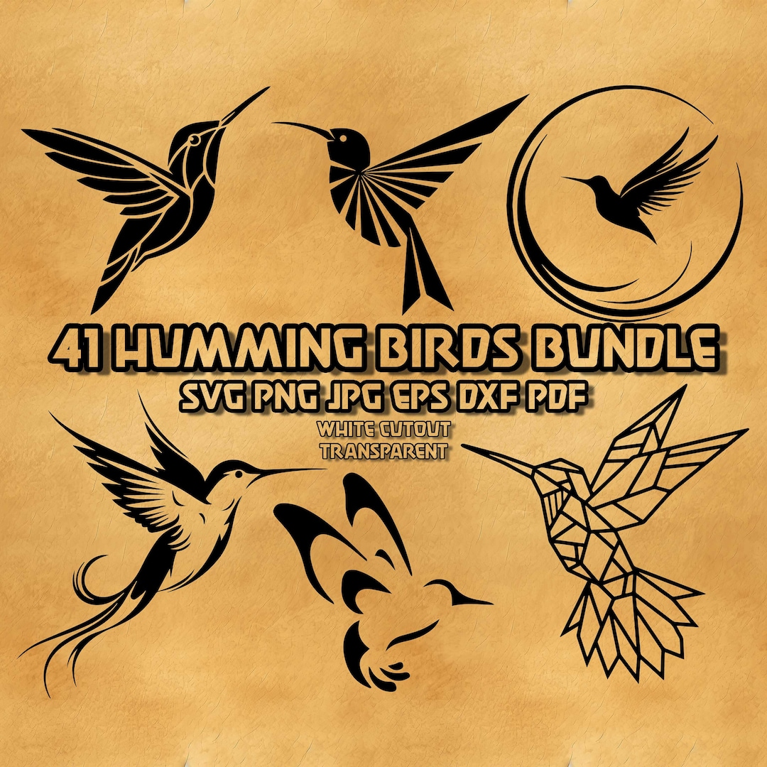 Humming Bird SVG Bundle , Bird Silhouette, Humming Bird Clipart, Flying ...