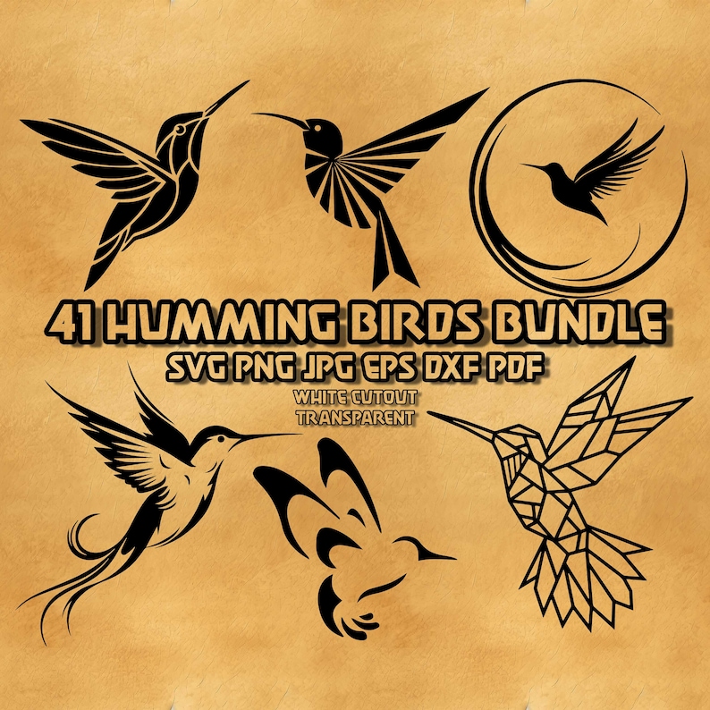 Humming Bird SVG Bundle , Bird Silhouette, Humming Bird Clipart, Flying ...