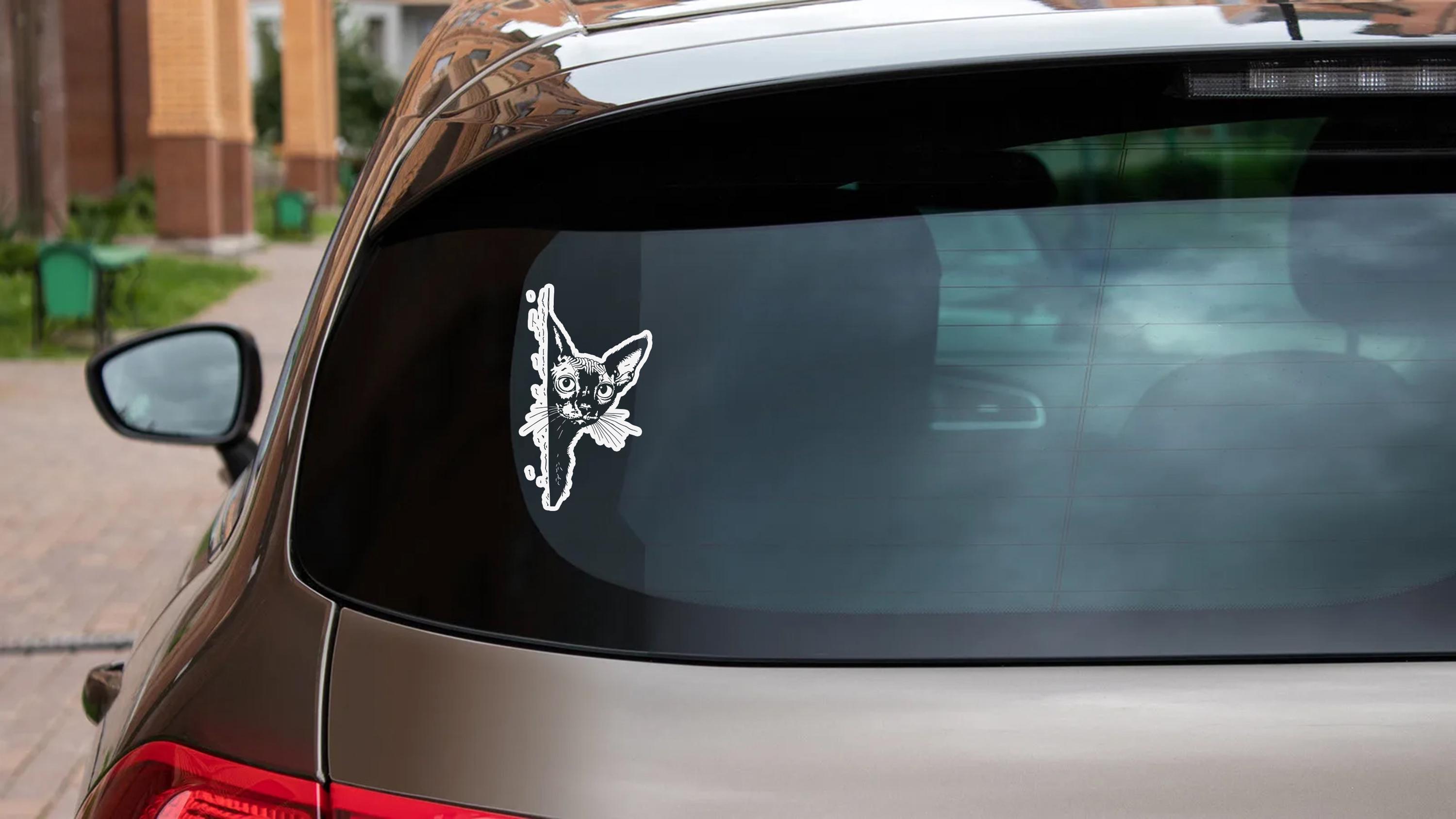 Cornish Rex Svg Bundle, Floral Cornish Rex, Cowboy Cornish Rex, Peeking ...