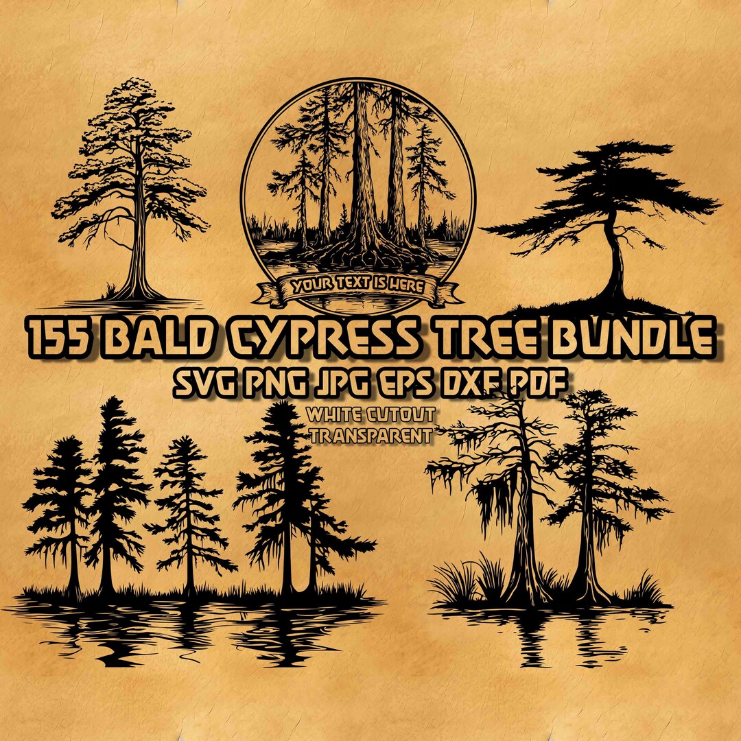 Bald Cypress Tree Svg Bundle, Tree Vector Art, Cypress Tree Monogram ...