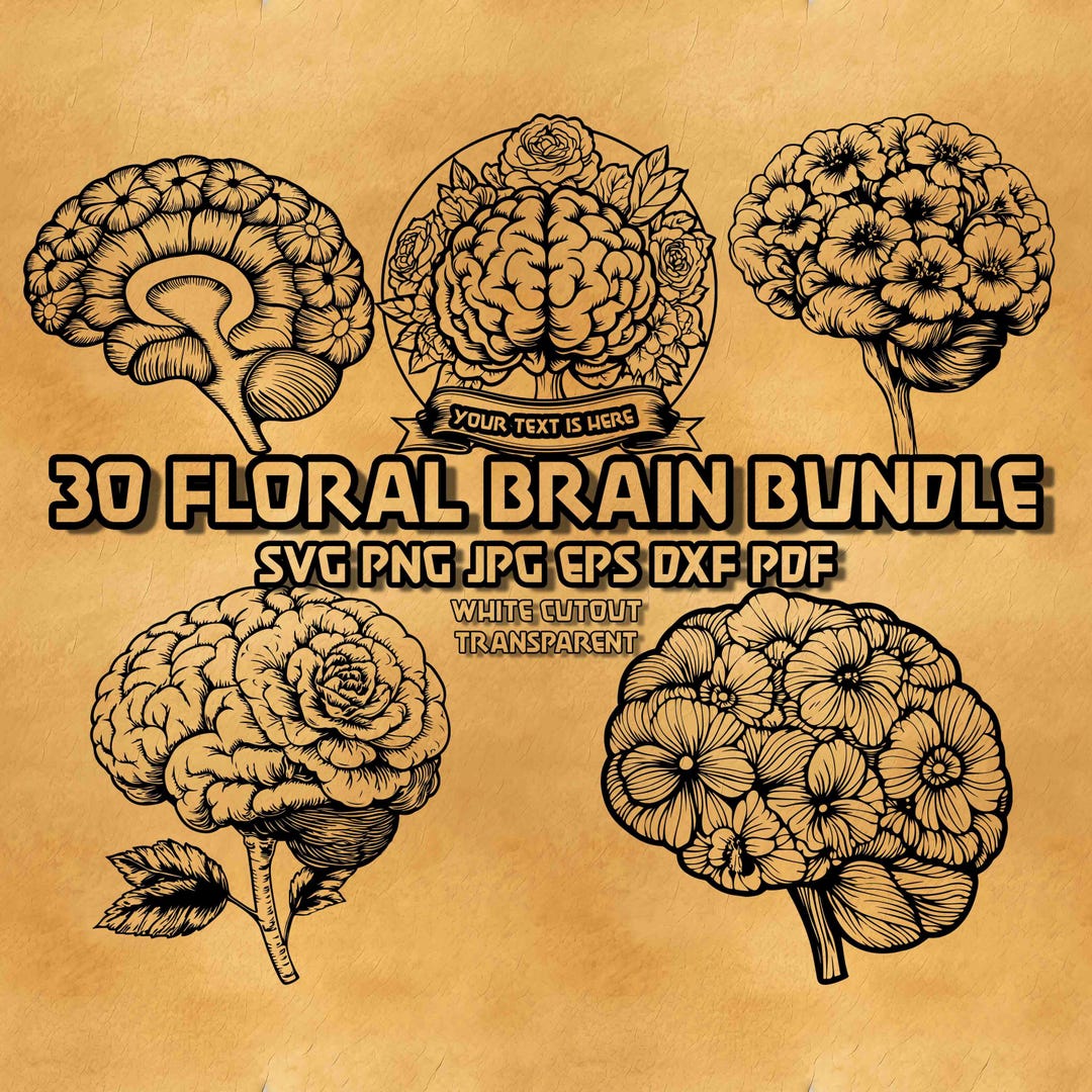 Floral Brain SVG Bundle, Anatomical Brain With Flowers, Floral Brain ...