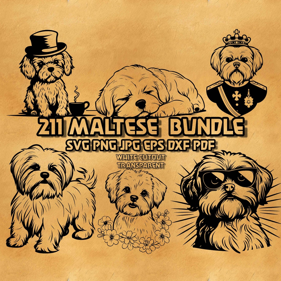 Maltese SVG Bundle: Floral, Cowboy, Gentleman Designs - Etsy
