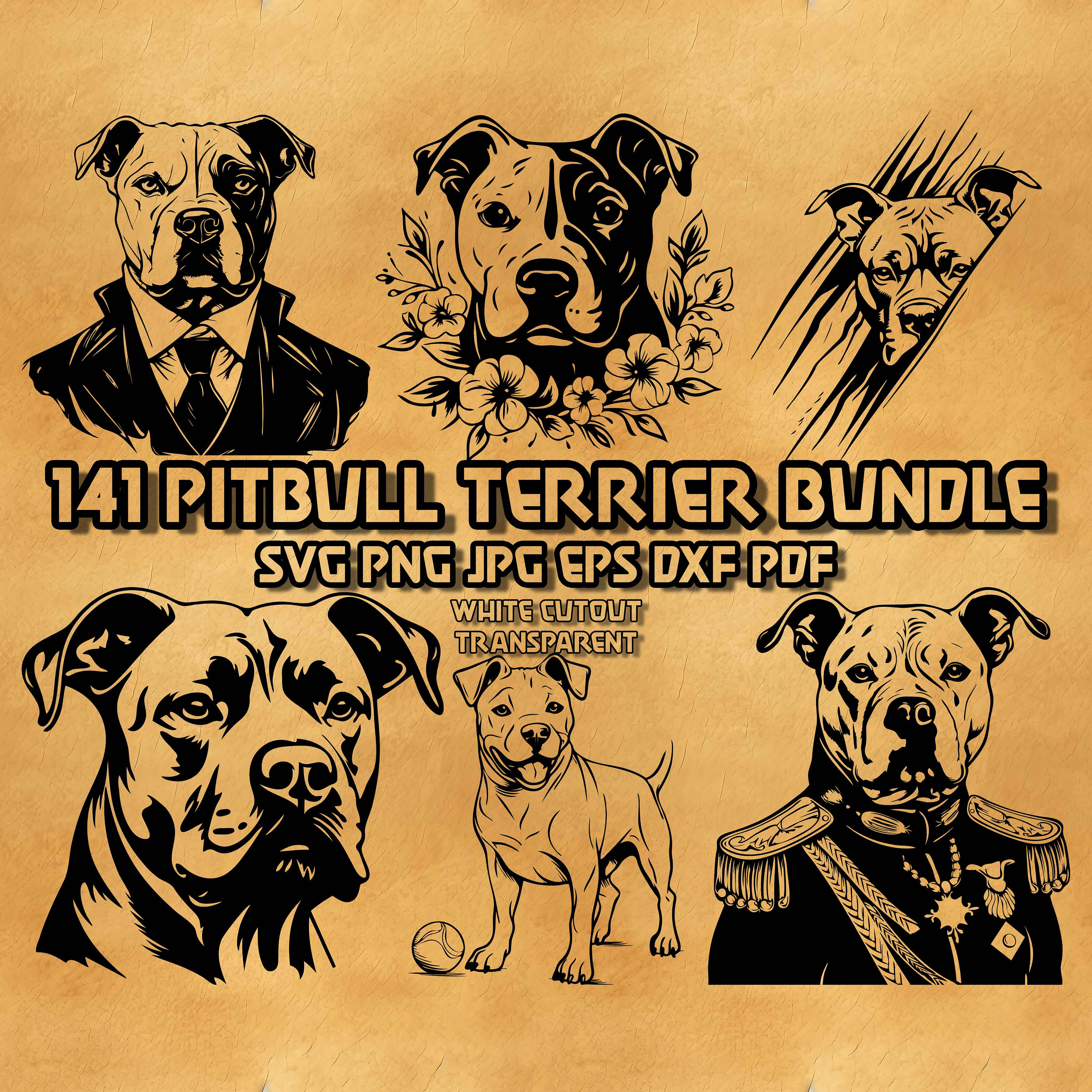 Pitbull Terrier Svg Bundle, Floral Pitbull Terrier Svg, Peeking Pitbull ...