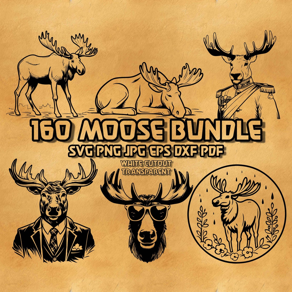 Moose Svg Bundle, Cowboy Moose Svg, Floral Moose Svg, Royal Moose Svg ...