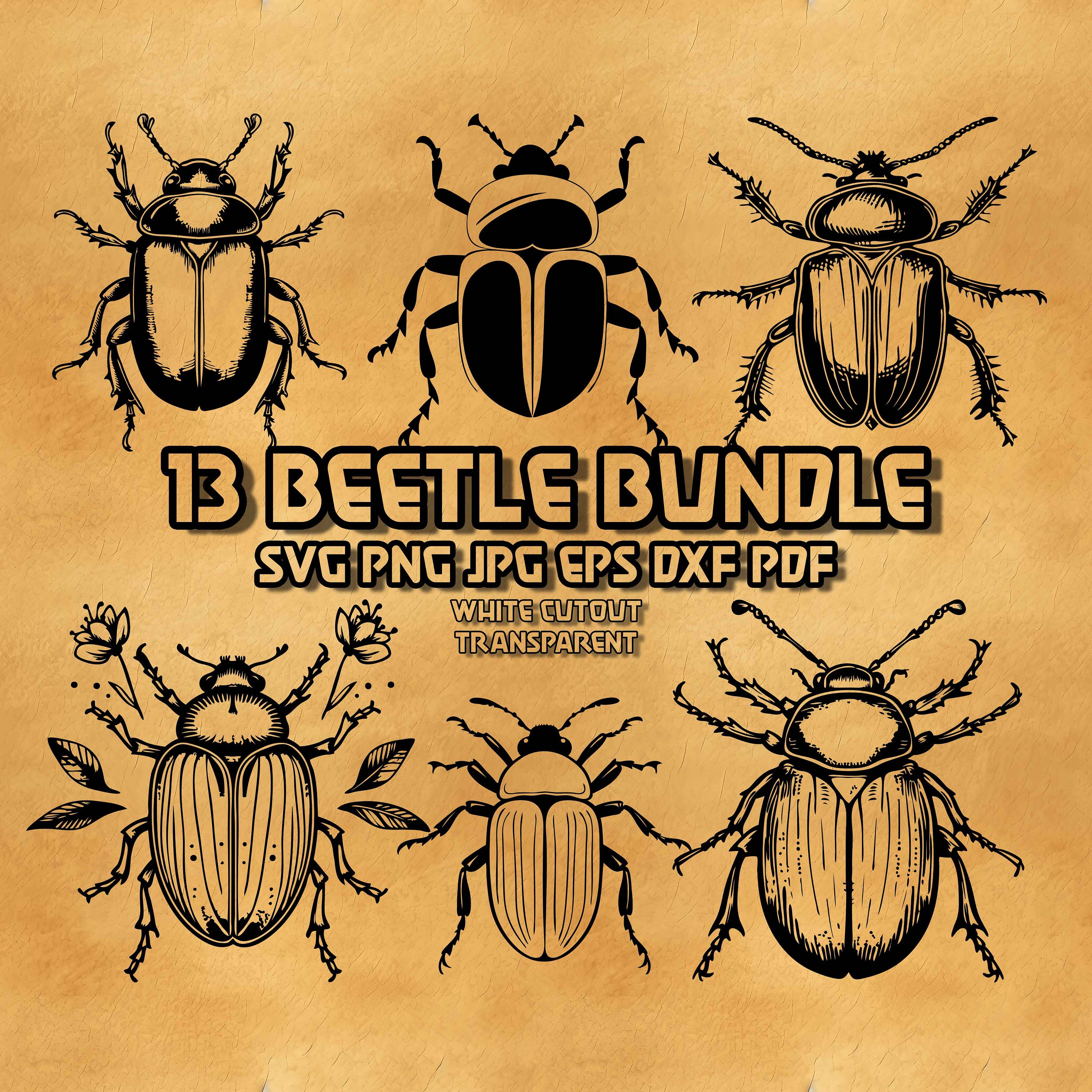 Beetle Svg Bundle, Bug Svg, Scarab Beetle Svg, Bug Vector, Floral ...
