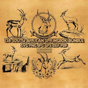 South African Springbok Svg Bundle, African Springbuck Svg, African ...