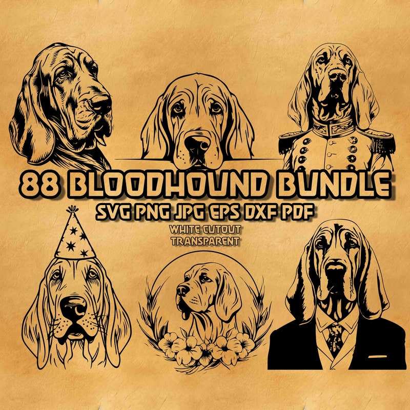 Royal Hippie Designs - Etsy