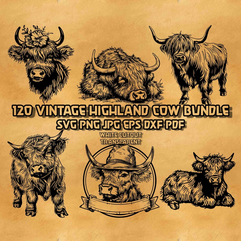 Highland Cow Svg - Etsy