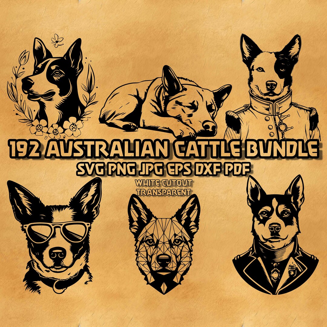 Australian Cattle Dog SVG Bundle: Floral, Cowboy, Royal (digital Files ...