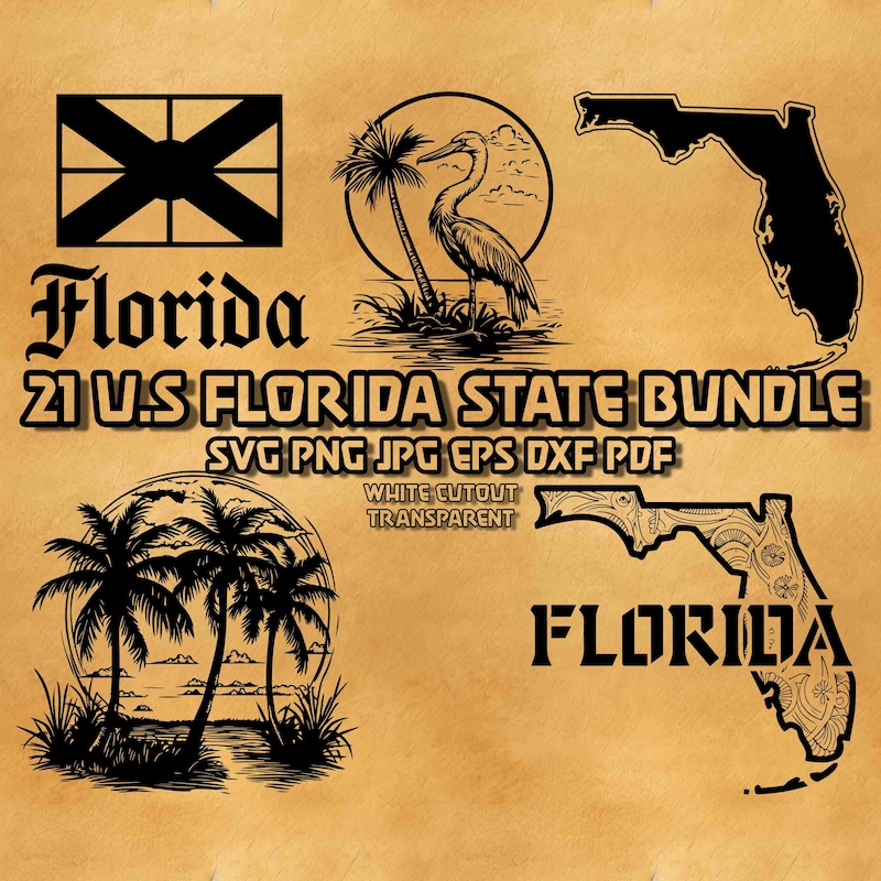 Florida State Svg - Etsy