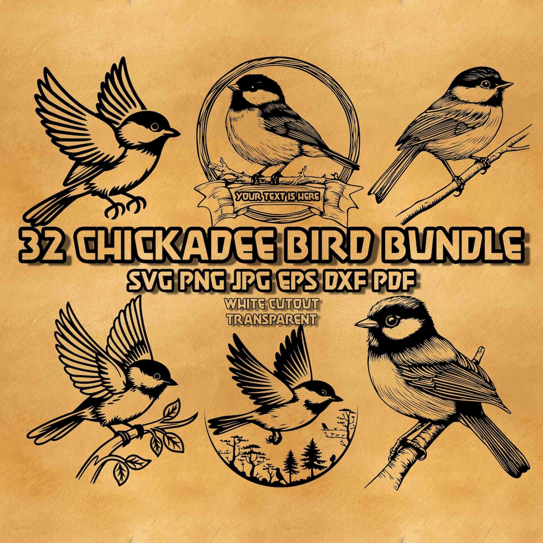Spring Chickadee Bird SVG Bundle, Chickadee Monogram, Cute Songbird ...