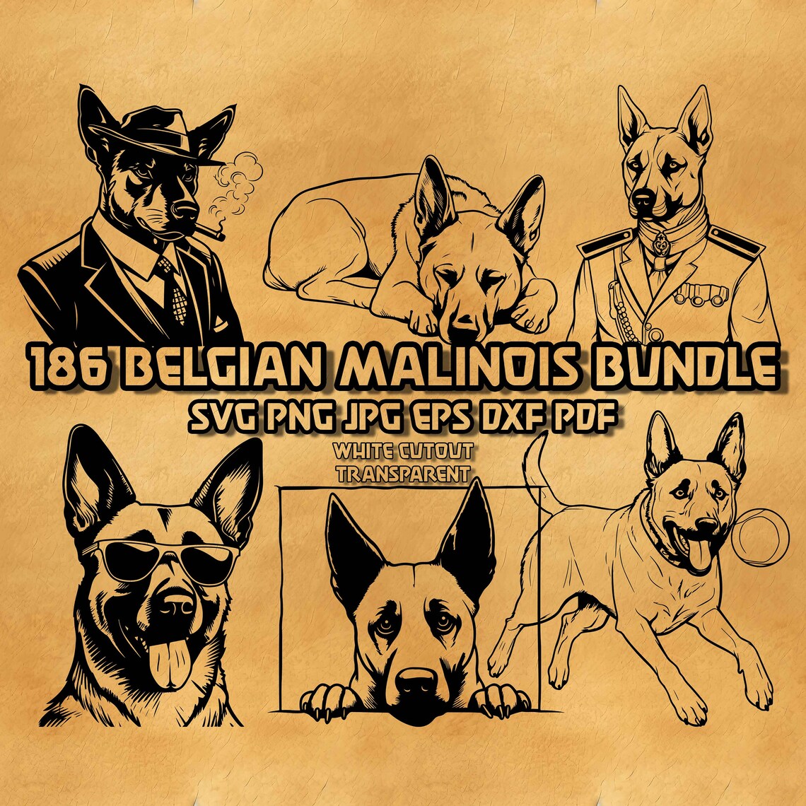 Belgian Malinois Svg Bundle, Floral Belgian Malinois Svg, Cowboy ...