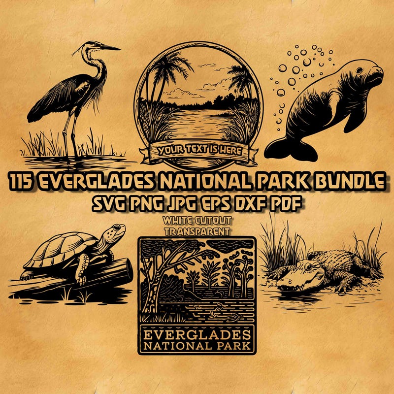 Everglades Wildlife Art - Etsy