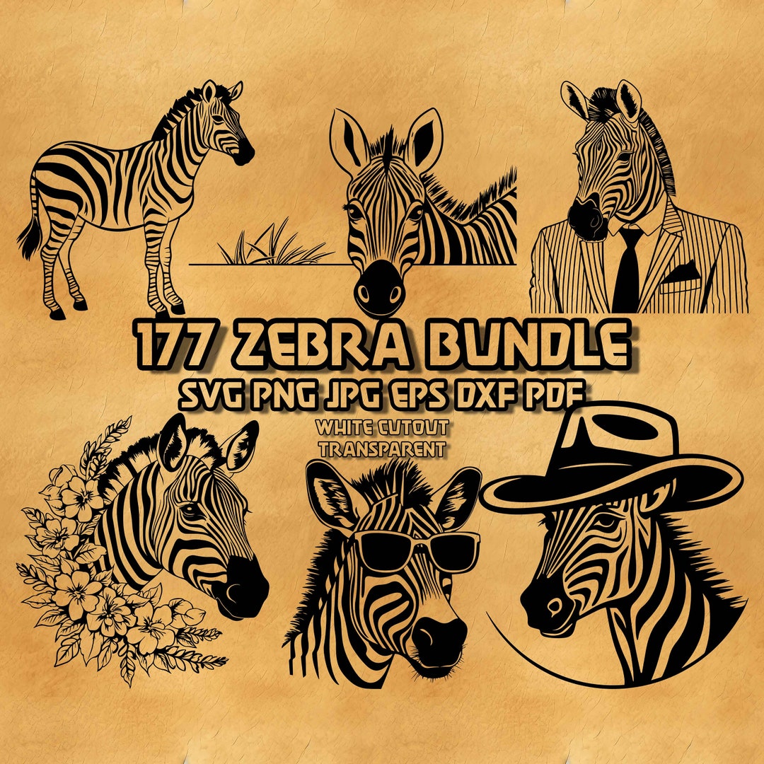 Zebra Svg Bundle, Floral Zebra Svg, Gentleman Zebra Svg, Royal Zebra ...