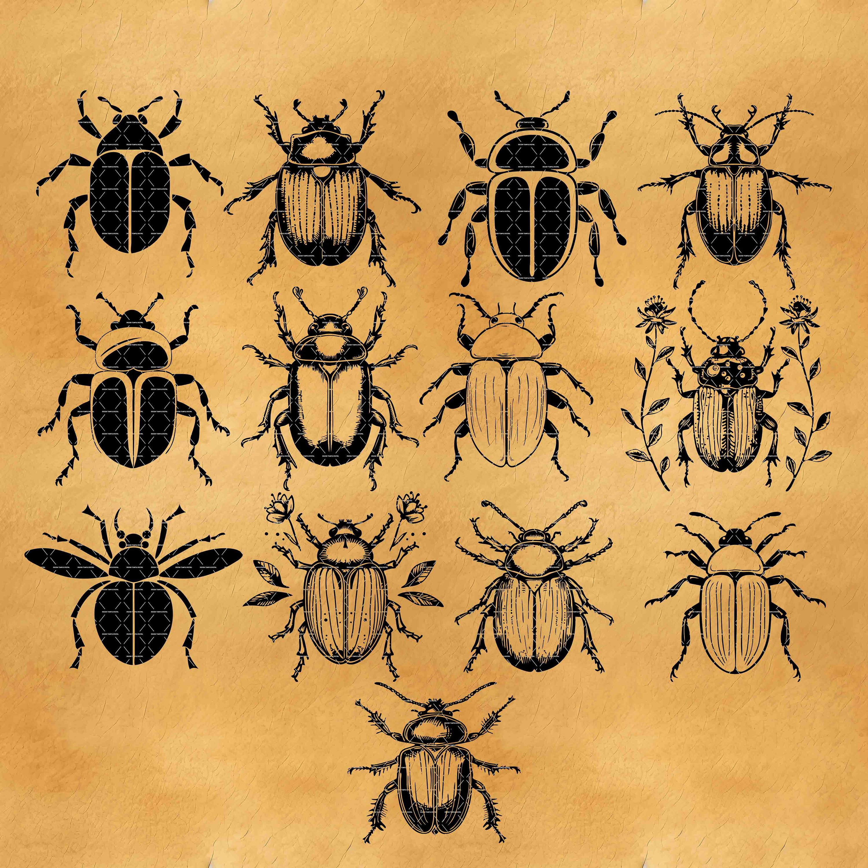 Beetle Svg Bundle, Bug Svg, Scarab Beetle Svg, Bug Vector, Floral ...