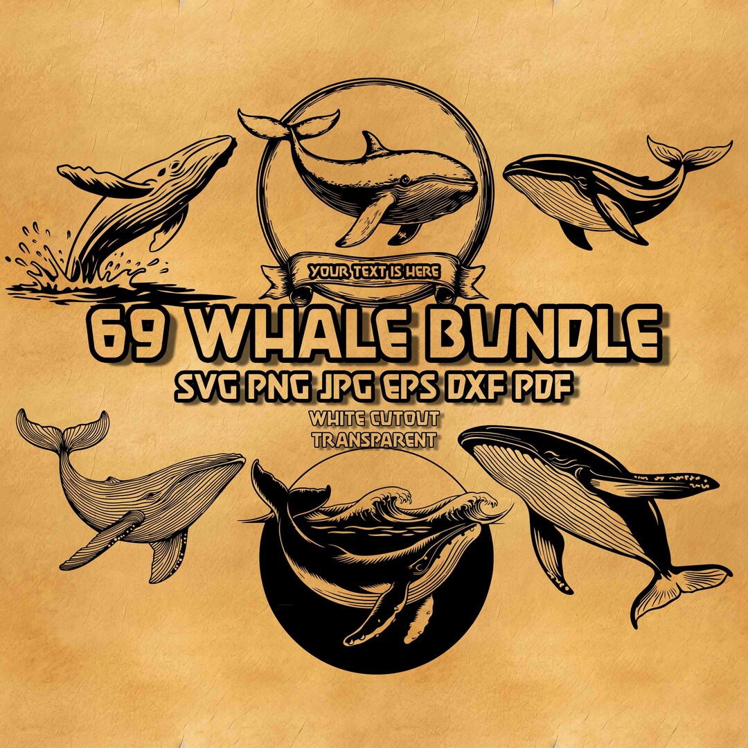 Marine Ocean Whale SVG Bundle, Whale Monogram Svg, Ocean Animal Art ...